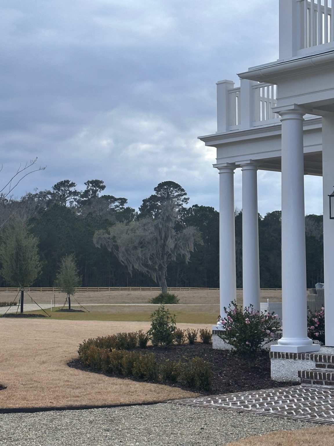 Bluff Diaries Chapter 70 - The Enchanted Home