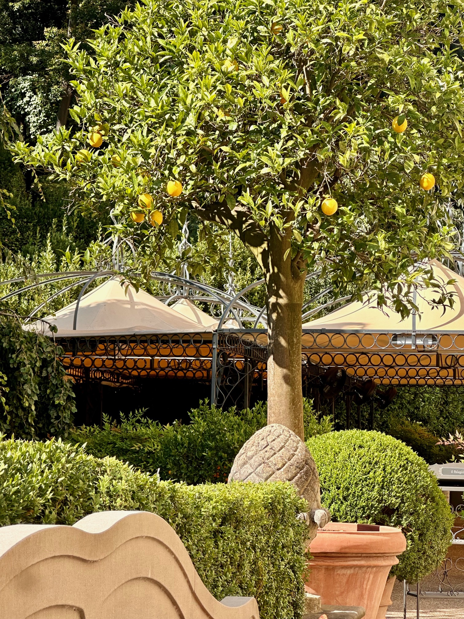 Final post on my Italy trip (better late than never)! - The Enchanted Home