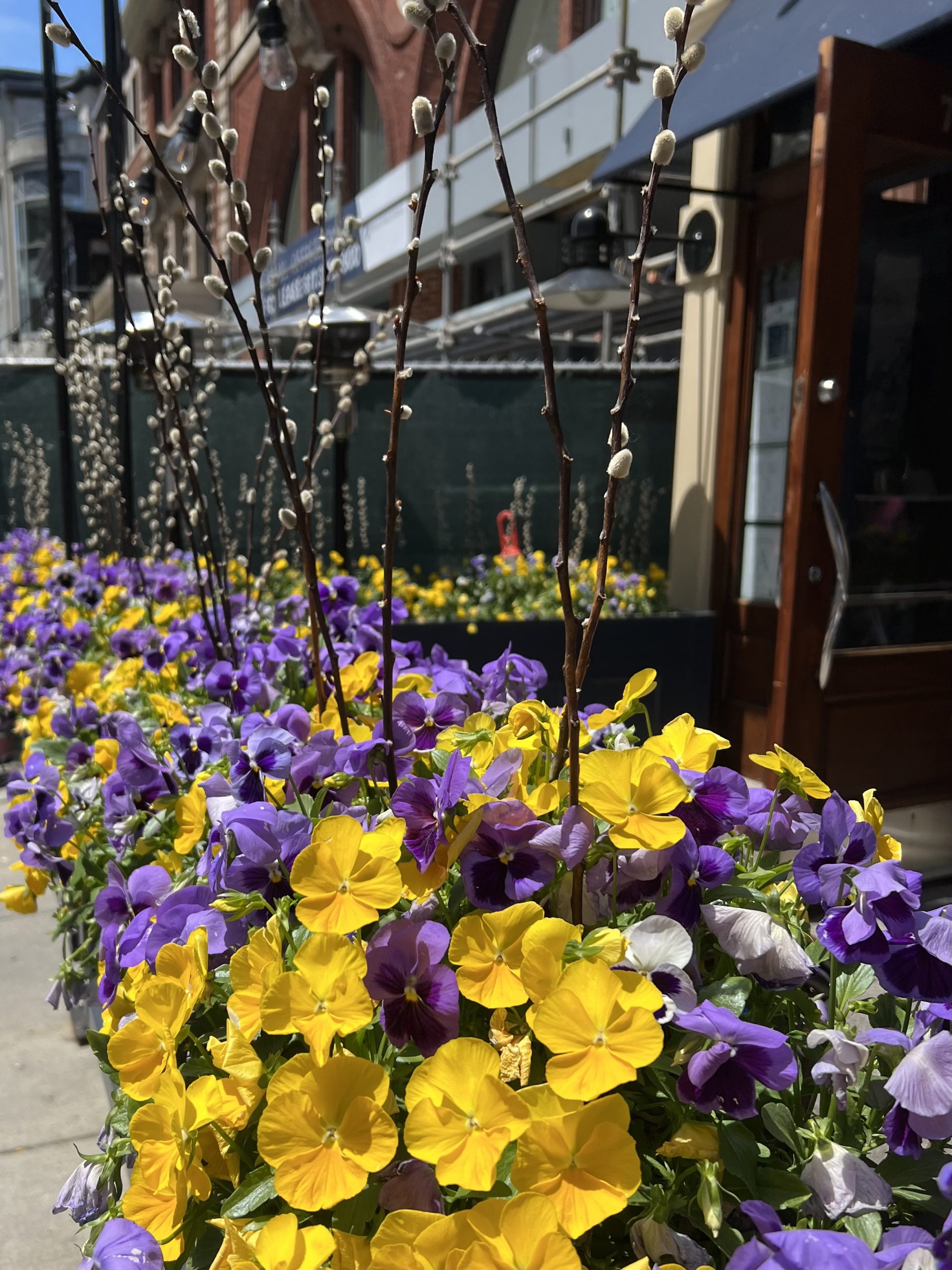 Our Spring Love Contest is on (round two) - The Enchanted Home