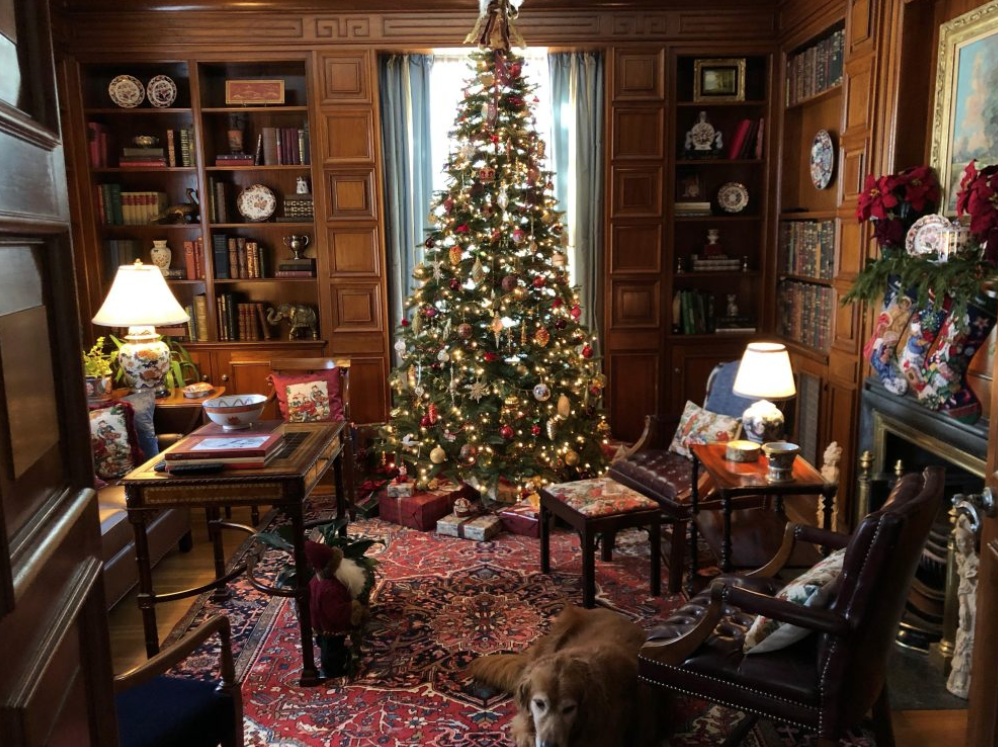 Now taking your photos for our Holiday Love 2025 contest! - The ...