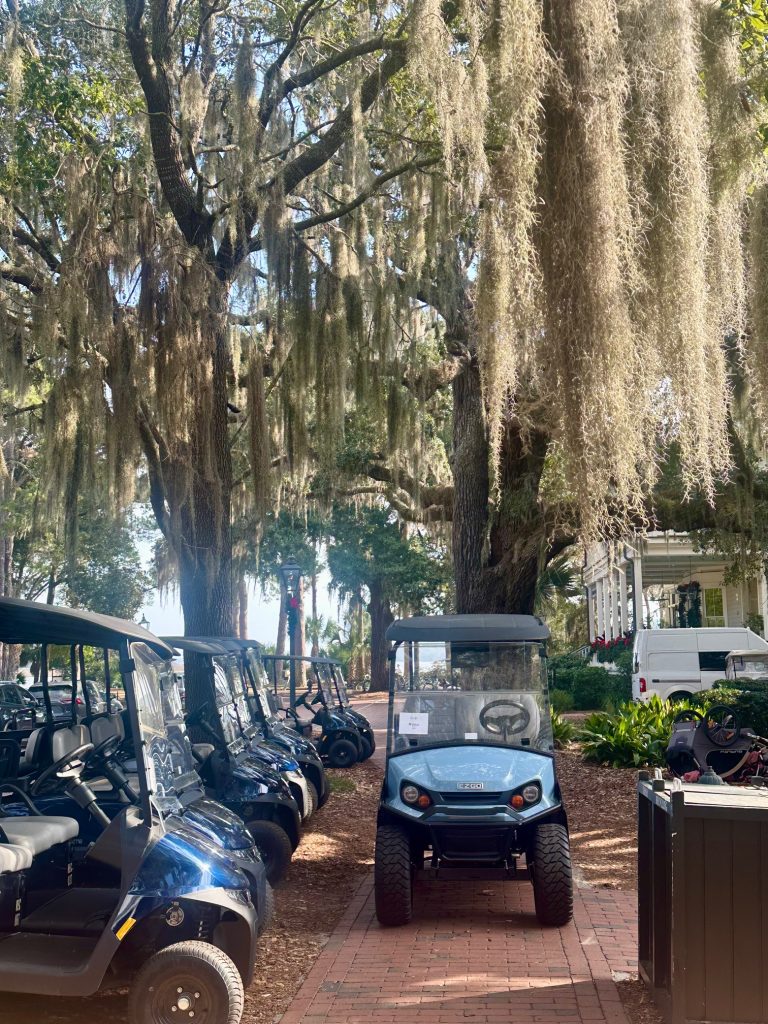 Seven on Sunday - The Enchanted Home